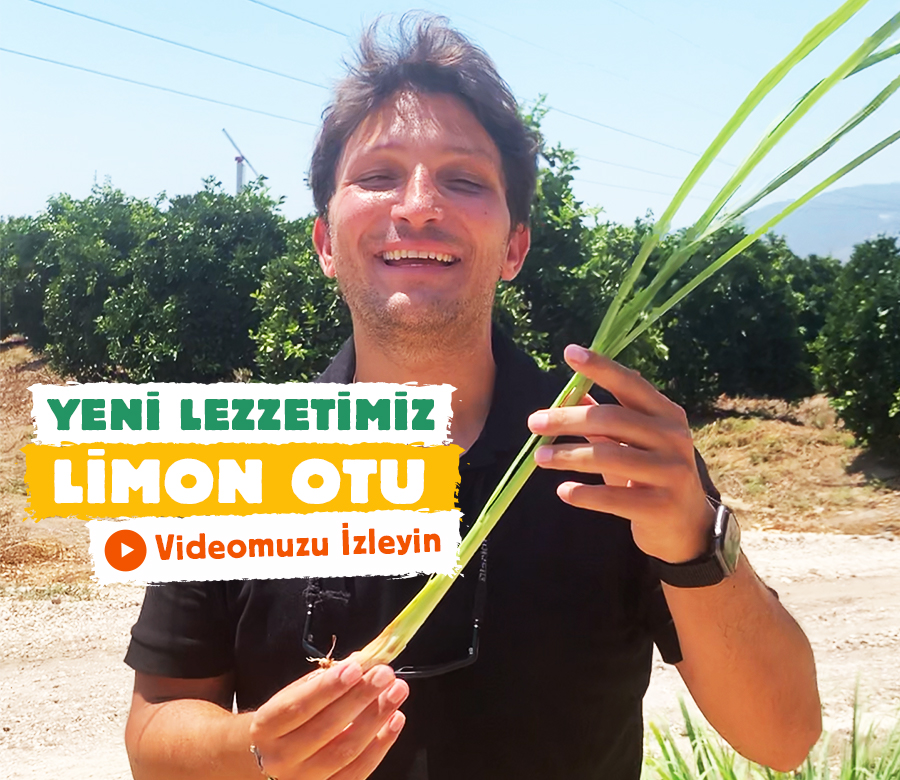 Limon Otu 200 Gr | Finike Portakalı, PortakalBahcem.com’dan doğal online meyve siparişi